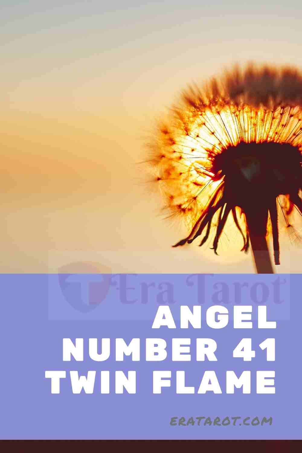 Angel Number 41 meaning, twin flame, love, breakup, reunion, finance ...